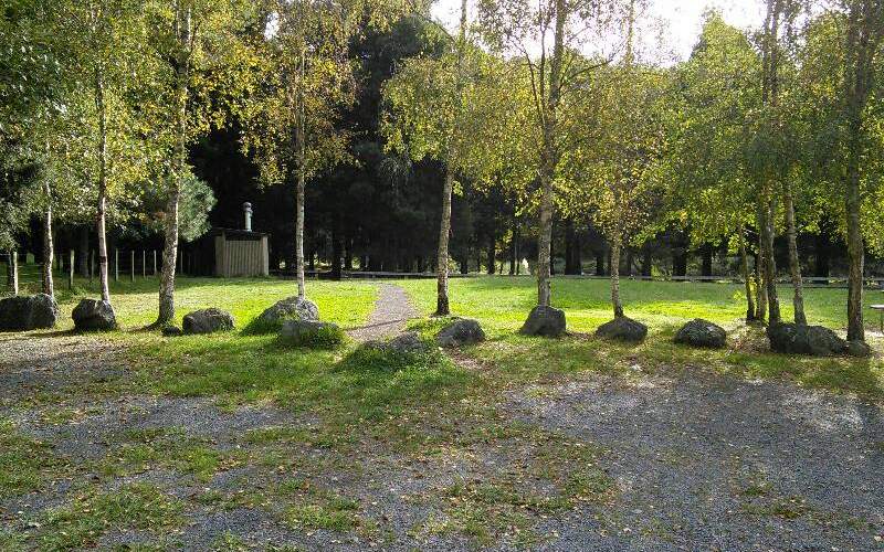 Dickey Flat Campsite | Freedom/Basic Camp | New Zealand